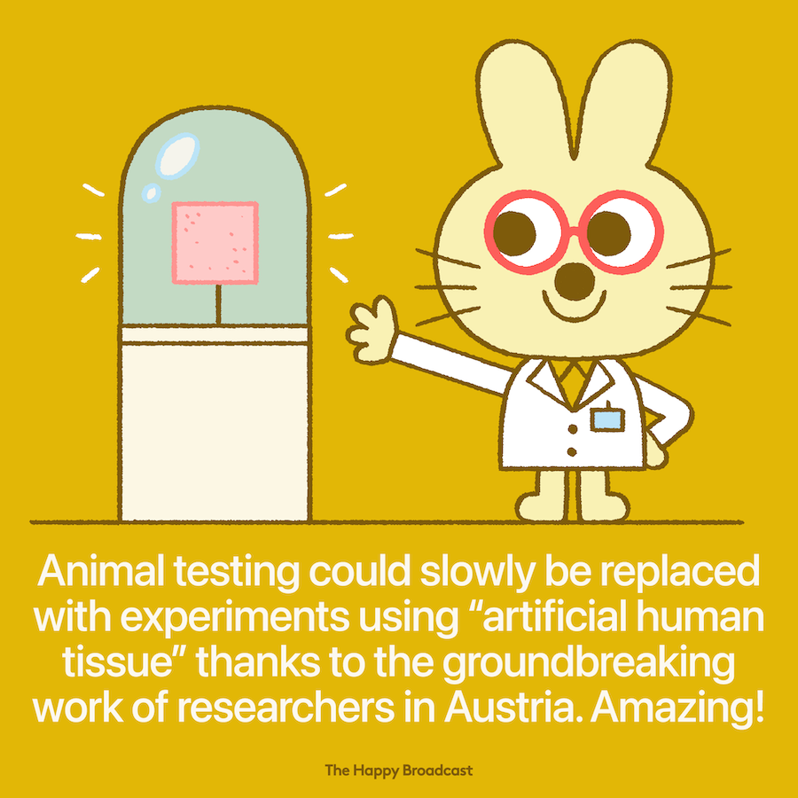 Artificial human tissue will replace animal testing - The Happy Broadcast