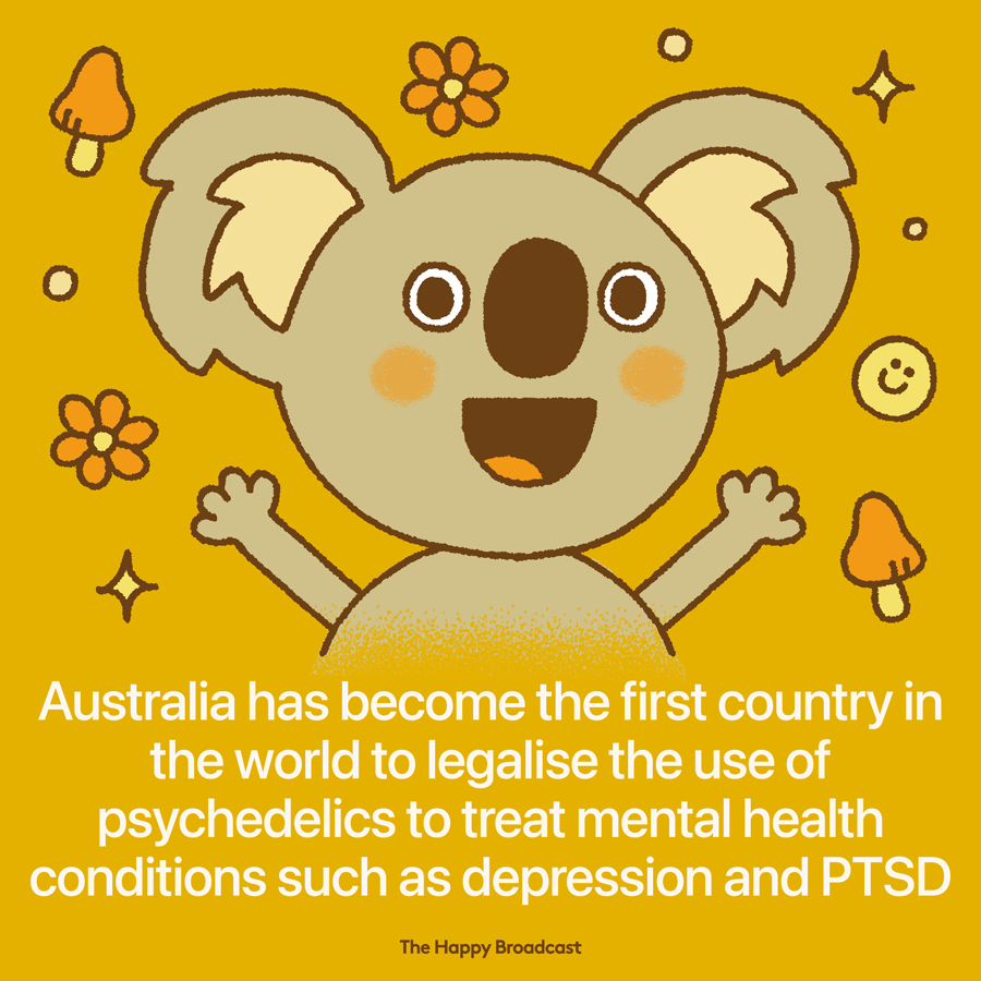 Australia is the first country in the world to legalise the use of ...