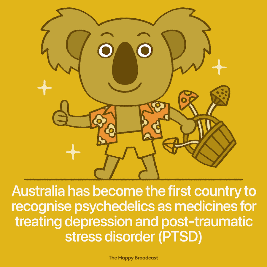 Australia recognises psychedelics as medicines - The Happy Broadcast