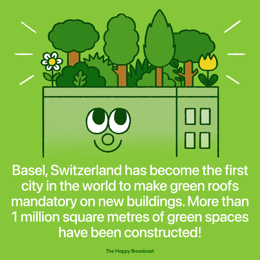 Basel green roofs record - The Happy Broadcast