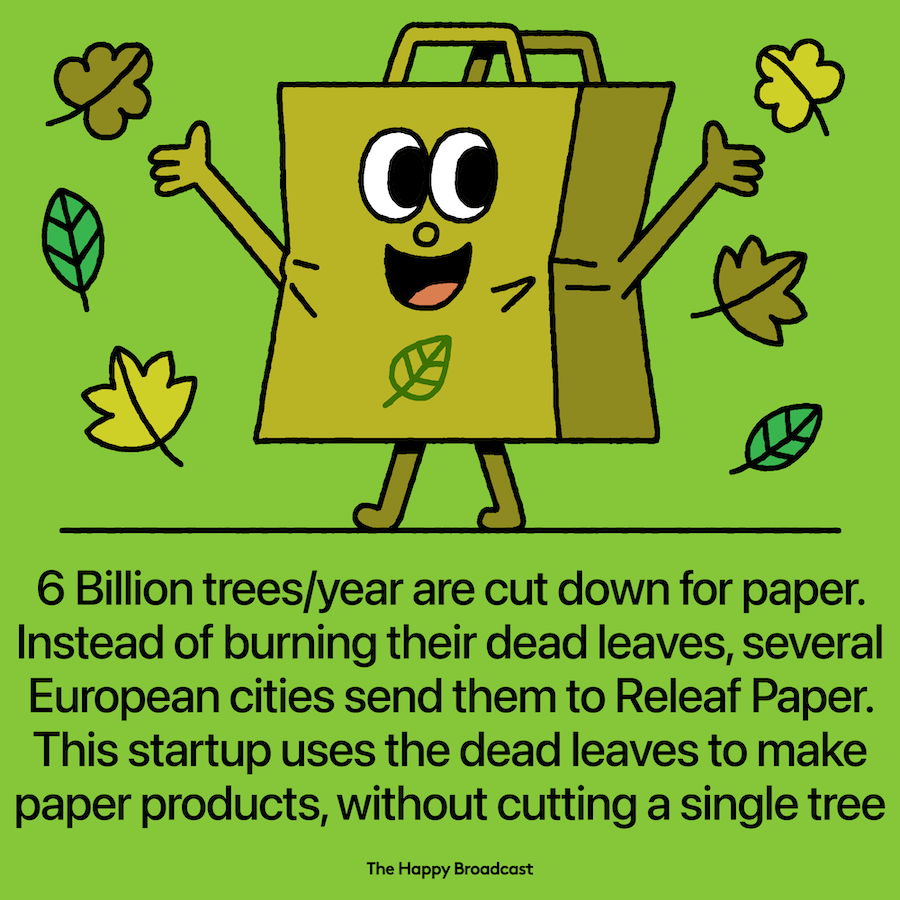A startup is using dead leaves to make paper - The Happy Broadcast