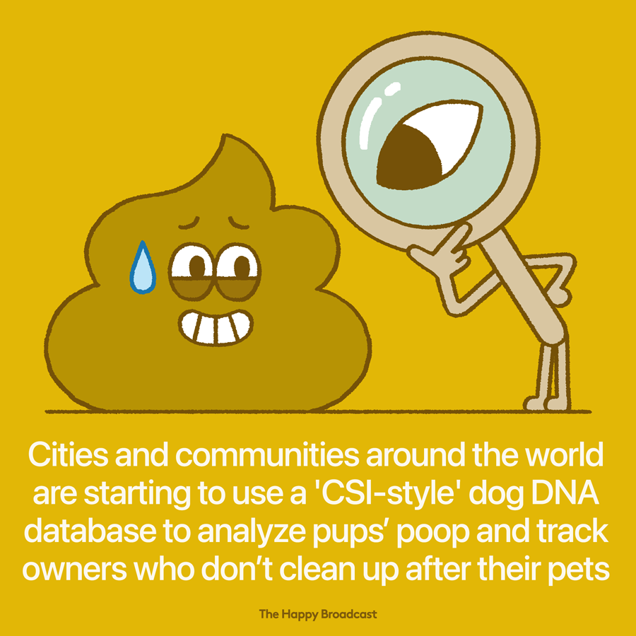 Dog poop DNA tracking around the world - The Happy Broadcast