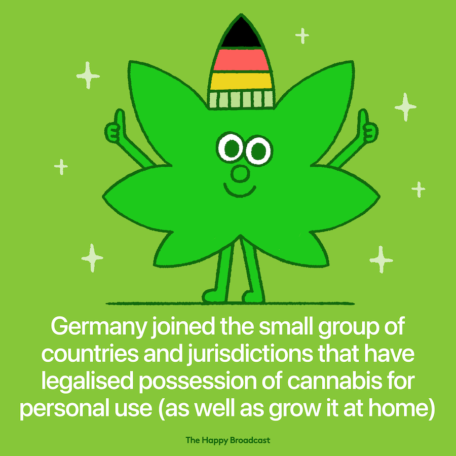 Germany have legalized cannabis - The Happy Broadcast