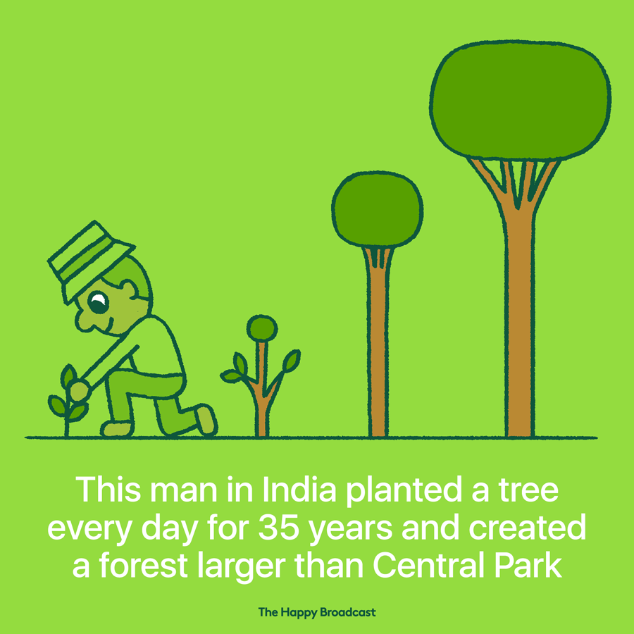 In 1979 16 year old padma shri jadav molai - The Happy Broadcast