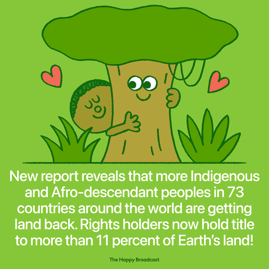 More Indigenous and local communities are getting land back - The Happy ...