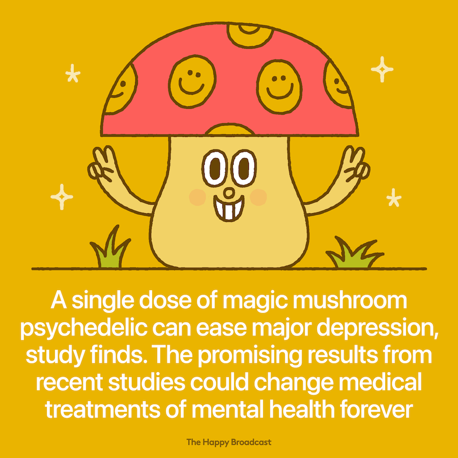 Study finds a single dose of psilocybin is effective as treatment for ...