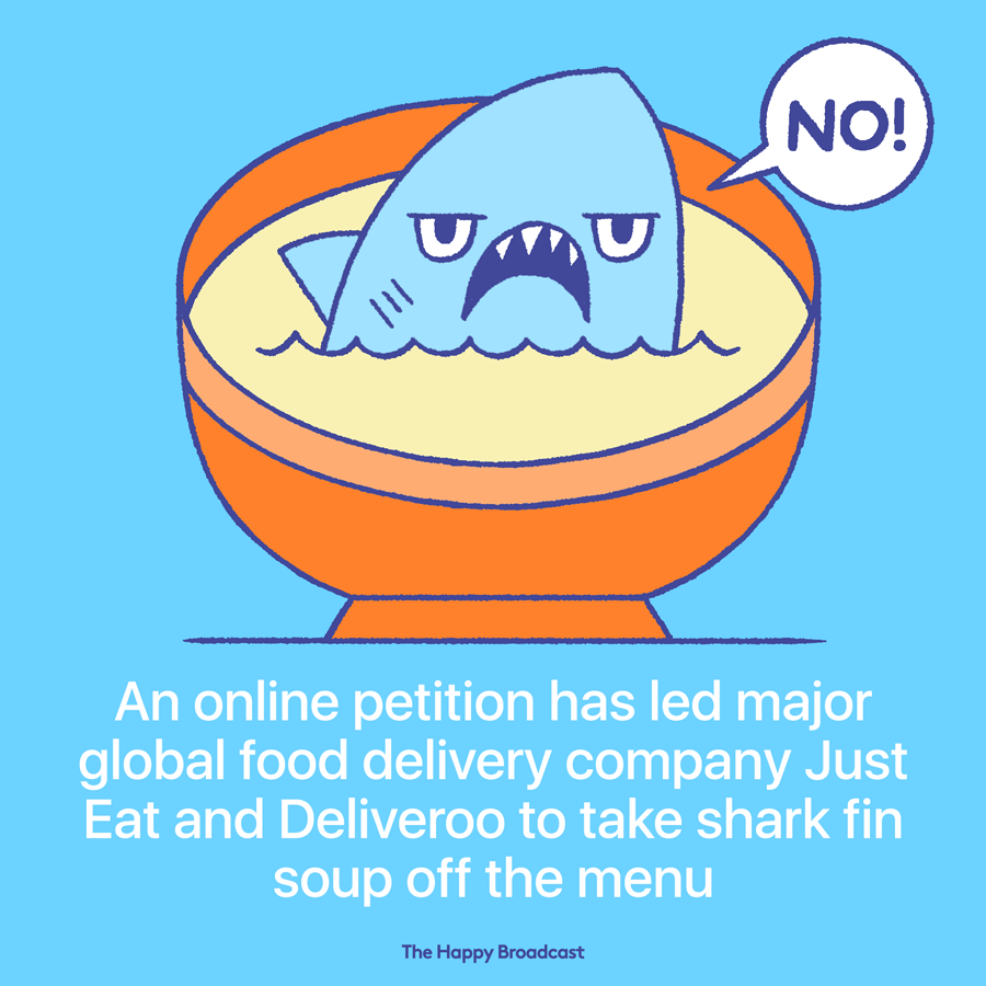 Shark finning is banned in eu countries the us - The Happy Broadcast