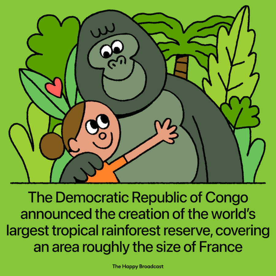 The Democratic Republic of Congo Preserves the Earth's Largest Tropical ...