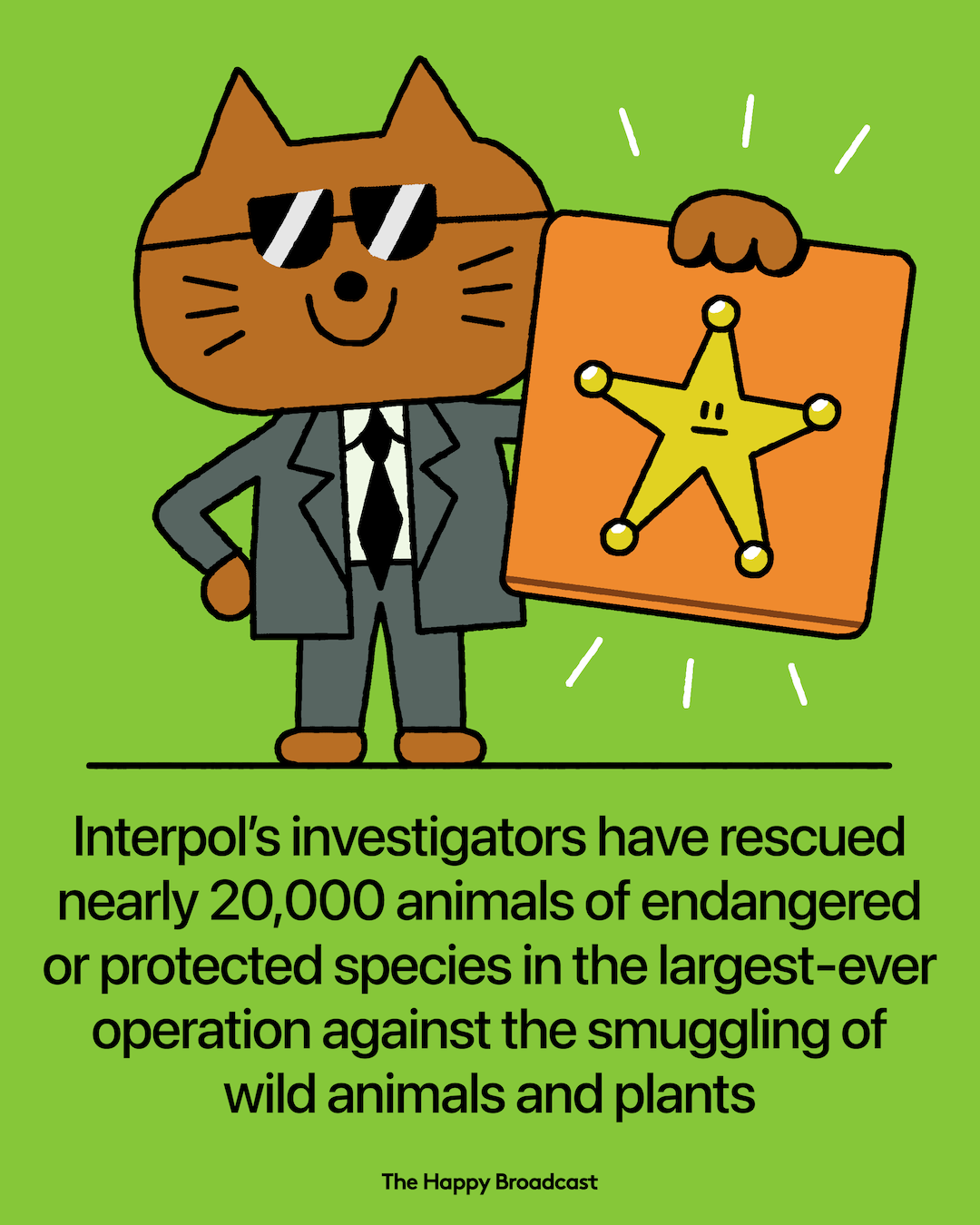 Investigators Rescue 20000 Protected Animals from Smugglers - The Happy ...